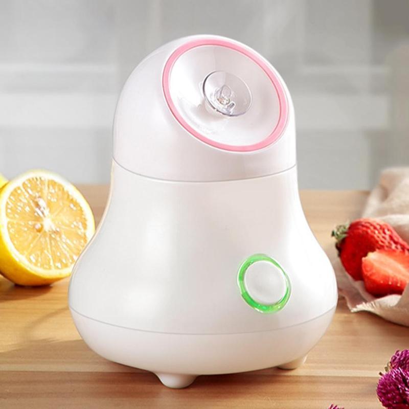 Best Fruit-Infuser Facial Steamer – Laxium